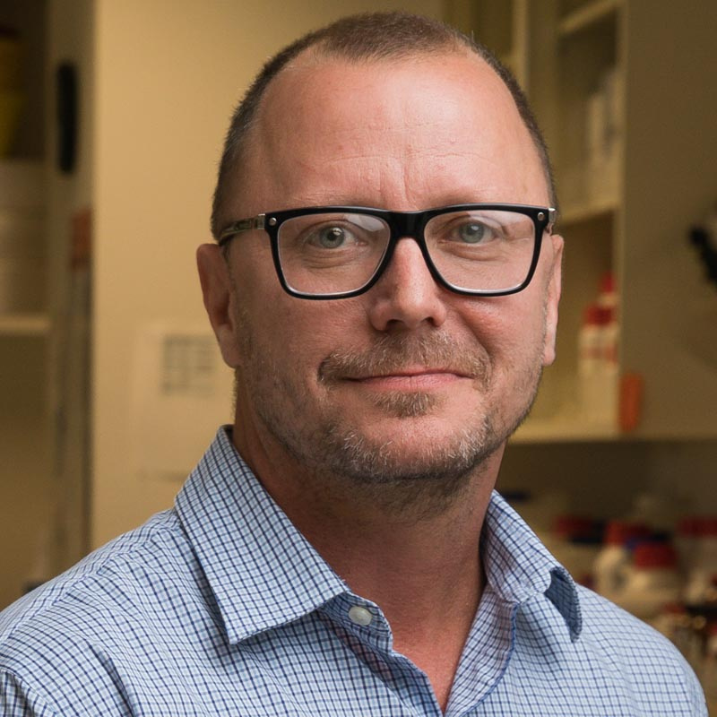 Dr. Kelly Craven | No-till on the Plains | Agriculture Production ...